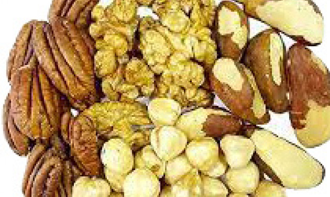 Healthy Grubs and Nuts